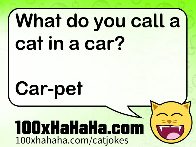 Funny cat oneliners+Images | What do you call a cat in a car? Car-pet