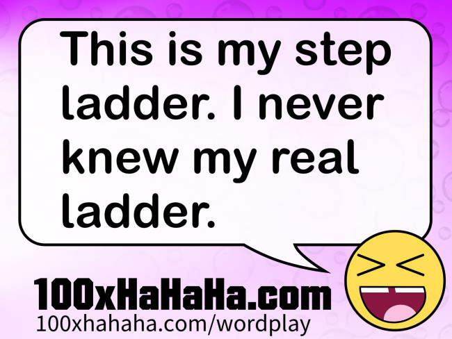 Short pun+Image | I never knew my real ladder