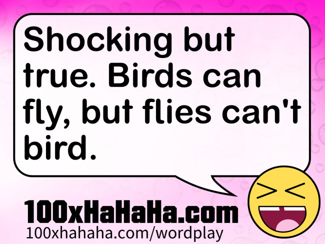 Funny puns+Images | Birds can fly, but flies can't bird