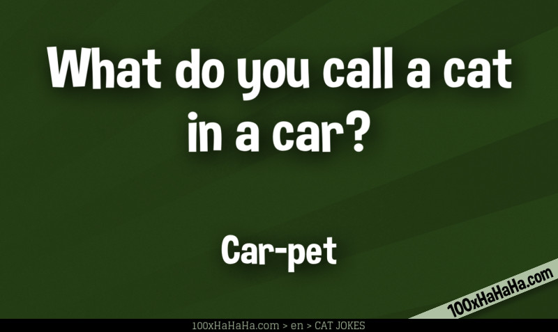 Cats jokes+Images | Car-pet